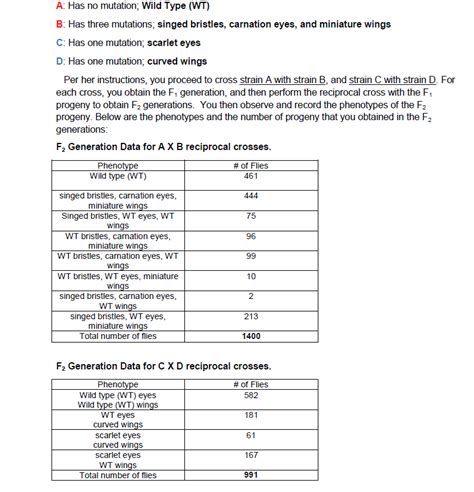 Solved A Has No Mutation Wild Type WT B Has Three Chegg Com