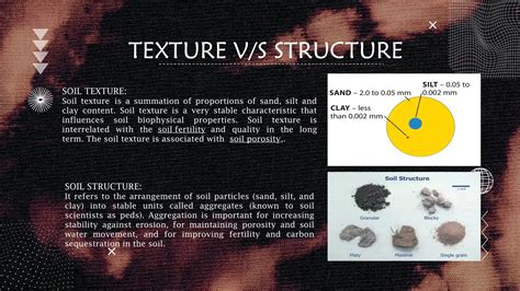 The Foundations Of Soil Exploring Texture Structure And