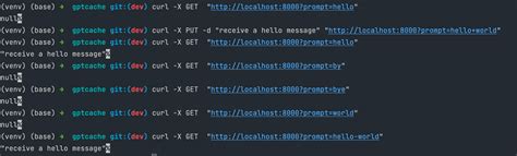 Bug Wrong Behavior When Used From The Docker Image Issue