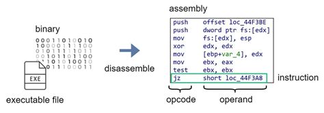 Graph Neural Network Based Function Call Graph Embedding For Malware