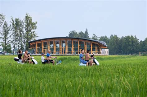 Green Seedling Project In Tianfu Agricultural Expo Garden By China