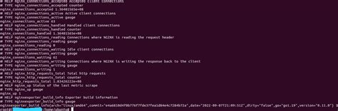 Menginstall Nginx Prometheus Exporter Di Ubuntu 20 04