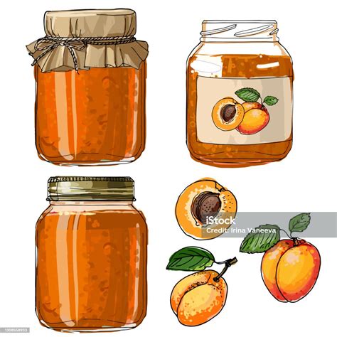 유리 항아리에 꿀 딸기 잼의 항아리 열매 흰색 배경에 벡터 컬러 음식 스케치 항아리에 대한 스톡 벡터 아트 및 기타 이미지 항아리 가득 찬 건강한 식생활 Istock