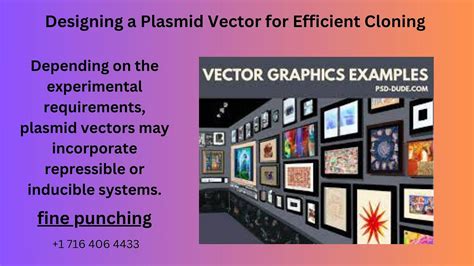 Designing A Plasmid Vector For Efficient Cloning By Fine Punching