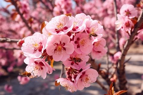 Premium Photo Spring Background With Colorful Environment