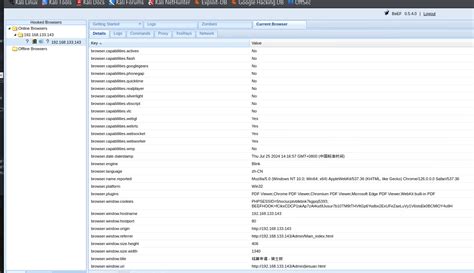 Kali下安装与使用beef Xss 泷羽sec