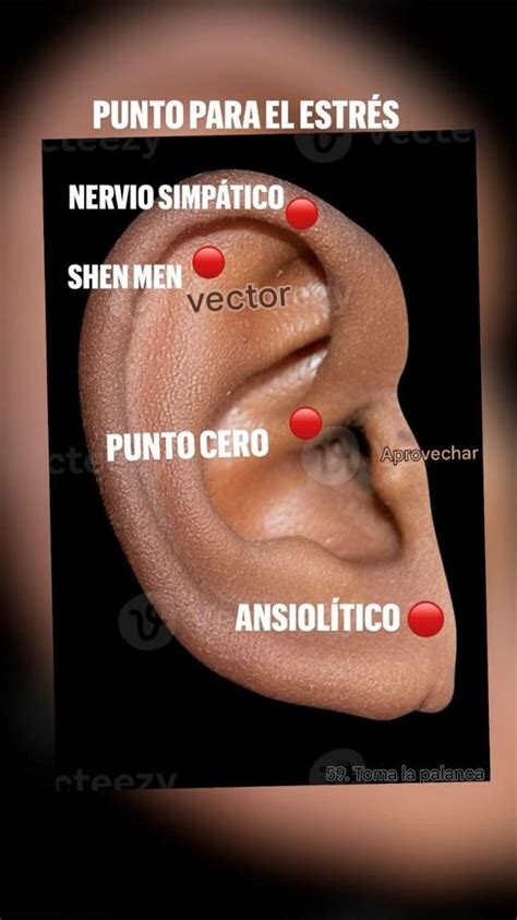 Usa 👂 Puntos En La Oreja Para Reducir El Estrés Y La Ansiedad Nervio
