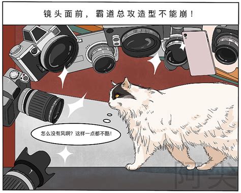故宫御猫鳌拜的小故事动漫短篇格漫詹丹馥df原创作品 站酷zcool