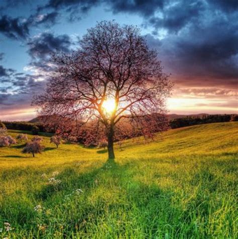 Ако сте Рак Скорпион и Риби понеделник ще бъде благоприятен ден За Жената