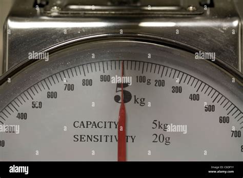 Most Sensitive Weight Scale At Clifford Bloss Blog