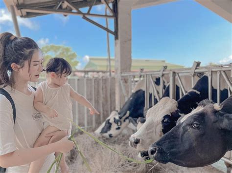 全台必去的親子農場除了可以近距離與小動物接觸還能親自餵食還不快帶著家中寶貝出門放電 LINE 熱點