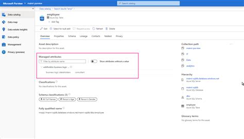 Day 9 Managed Attributes In Data Map Mainri