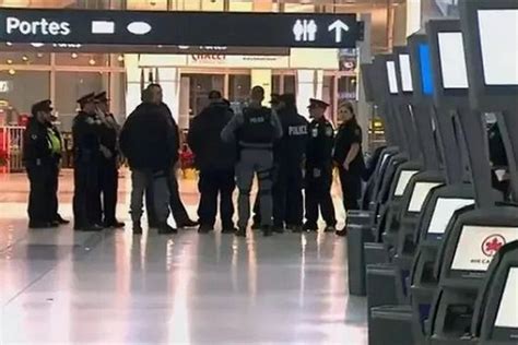 奢华邮轮“玛丽皇后2号”爆发诺如病毒疫情，超过240人感染