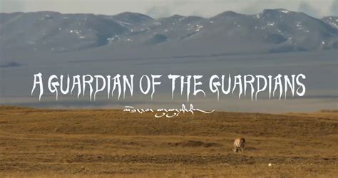 ZTE ZTE Offical Website Leading 5G Innovations The World S Leading Communications Service