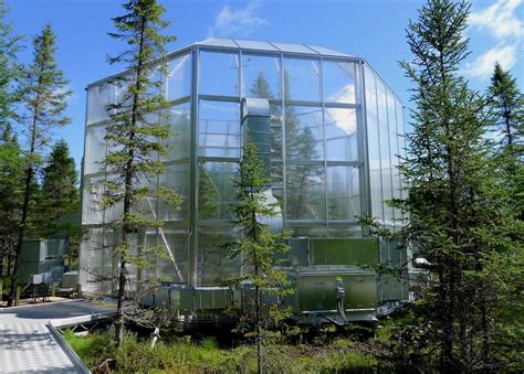 Phenocams Have An Eye On The Seasons At The Spruce Ecosystem Warming Experiment Research