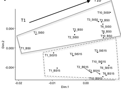 A Relative Abundance At Family Level Of The Top Rare Taxa Relative Download Scientific Diagram