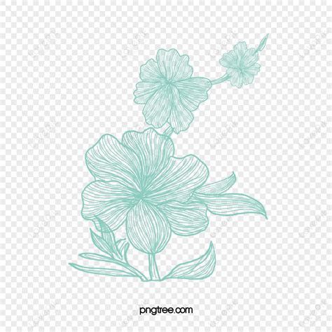 녹색 라인 일러스트 플라워축하자연장식 Png 일러스트 무료 다운로드 Lovepik