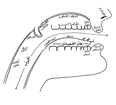 مخارج الحروف