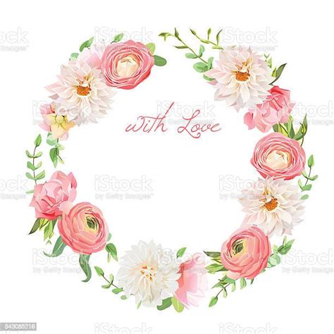 스위트 달리아 라난큘러스 로즈 카네이션 라운드 벡터 디자인 프레임 꽃 식물에 대한 스톡 벡터 아트 및 기타 이미지 꽃 식물 부서지기 쉬움 분홍 Istock