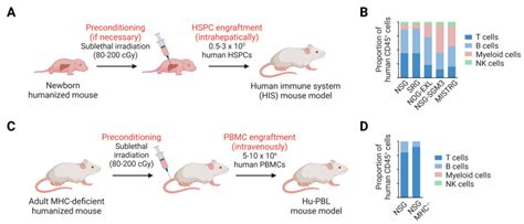 Modeling The Tumor Microenvironment And Cancer Immunotherapy In Next