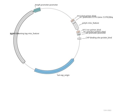 Blazor入门 简单svg绘制导出图像blazor 画图 Csdn博客 Blazor入门 简单svg绘制导出图像blazor 画图 Csdn博客