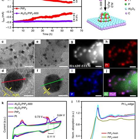 Dft Analysis Of Reaction Intermediates A Key Oxygen Intermediates For