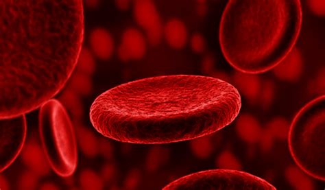 Eritrosit Nedir Eritrosit Yüksekliği Ve Düşüklüğü Neden Olur 2023 Trabzon Haber Haber61
