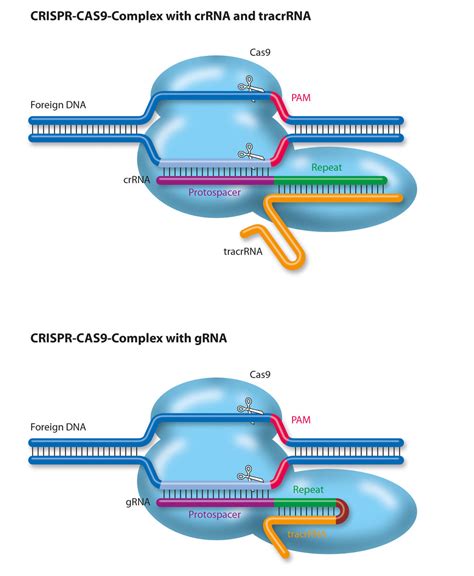 Functioning Max Planck Gesellschaft