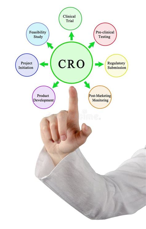 Functions Of Contract Research Organization Stock Image Image Of Person Woman 320588515