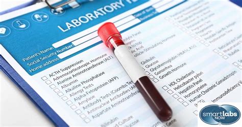 WBC Blood Test Explained A Quick Guide