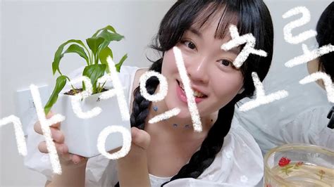 Vlog │ 식집사 브이로그 초보 식집사의 좌충우돌 반려식물 입양기꼭 자기 전에 보세요 Youtube
