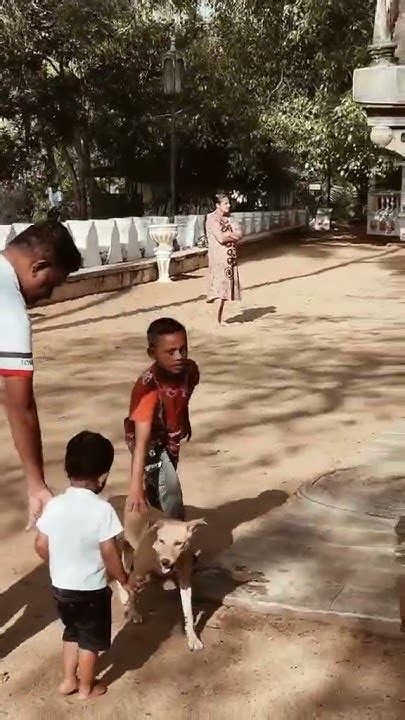 හිත නිවන අපේ පන්සල මුතියංගණ රජමහා විහාරය 🙏 ️ Youtube