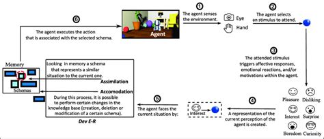The Perception Action Cycle Used In Dev E R Download Scientific Diagram