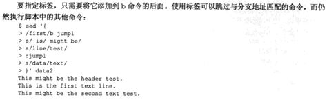 Linux命令行和shell脚本编程宝典 笔记linux命令行和shell脚本编程宝典电子版 Csdn博客