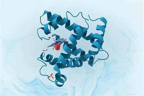 28 Facts About Quaternary Structure