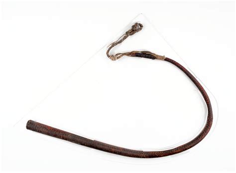 Slavery Whips Whipping Of Enslaved People Nature And Impact History