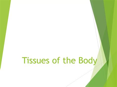 Tissues Of Body Epithelium Connective Ppt