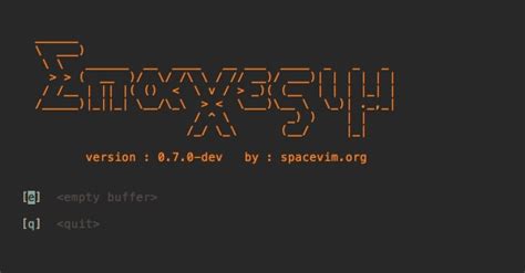 开始输入 · Spacevim Tutorial