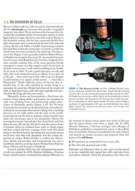 Image To Pdf Cell Biology Studocu