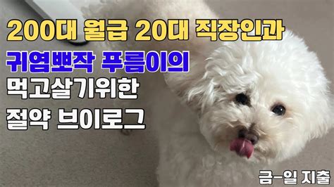 절약브이로그 200대 월급 20대 직장인과 푸름이의 절약 브이로그파양견에서 반려견까지반려견입양1인가구 직장인 브이로그 자취생 브이로그 도시락브이로그 Youtube