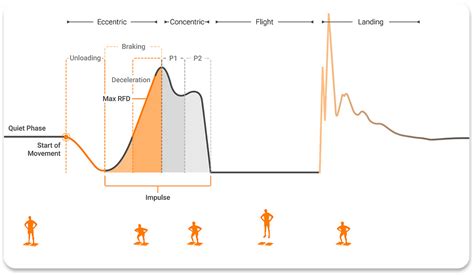 Selecting Force Plate Metrics For Countermovement Jump Testing A Comprehensive Guide