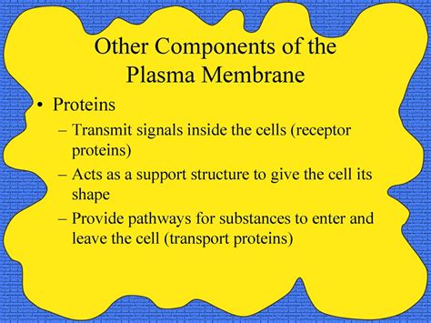 Chapter 7 Cellular Structure And Function Ppt Download
