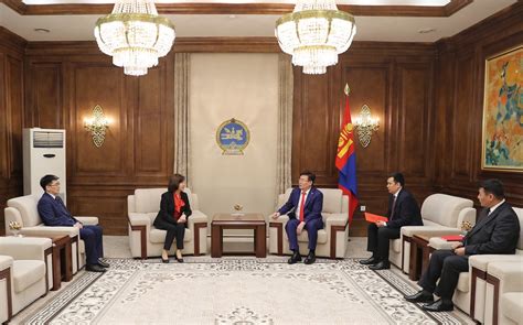 Эм эмнэлгийн хэрэглэгдэхүүний тухай хуулийн шинэчилсэн найруулгын төсөл өргөн барилаа