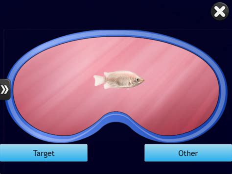 Digital Cognitive Exercises Happyneuron Pro