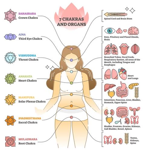 698 En La Categoría Chakra Diagram De Fotos E Imágenes De Stock