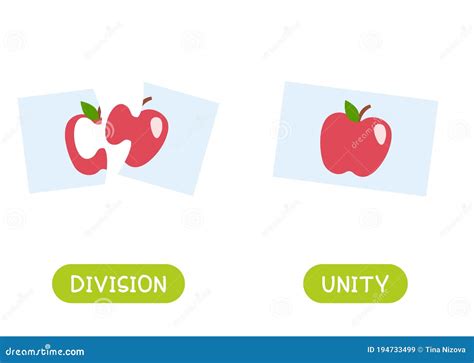 Division And Unity As Different Choices In Life Pictured As Words Division Unity On Road