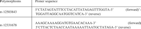 primer sequence of polymorphisms rs 12331678 and rs 12503843