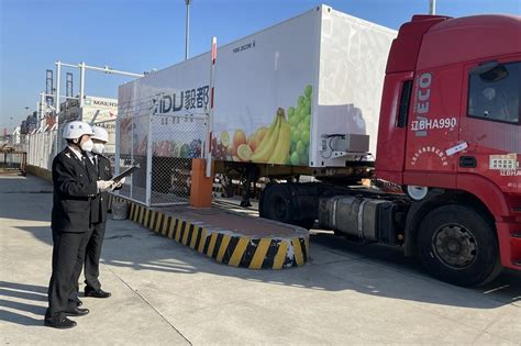 济宁市人民政府 打私动态 大窑湾海关保障洋年货高效通关图