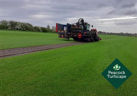 Peacock Turfscape Turf Soil Garden And Landscaping Suppliers