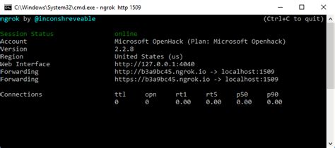 Public Urls For You Local Web Server Using Ngrok Codestories